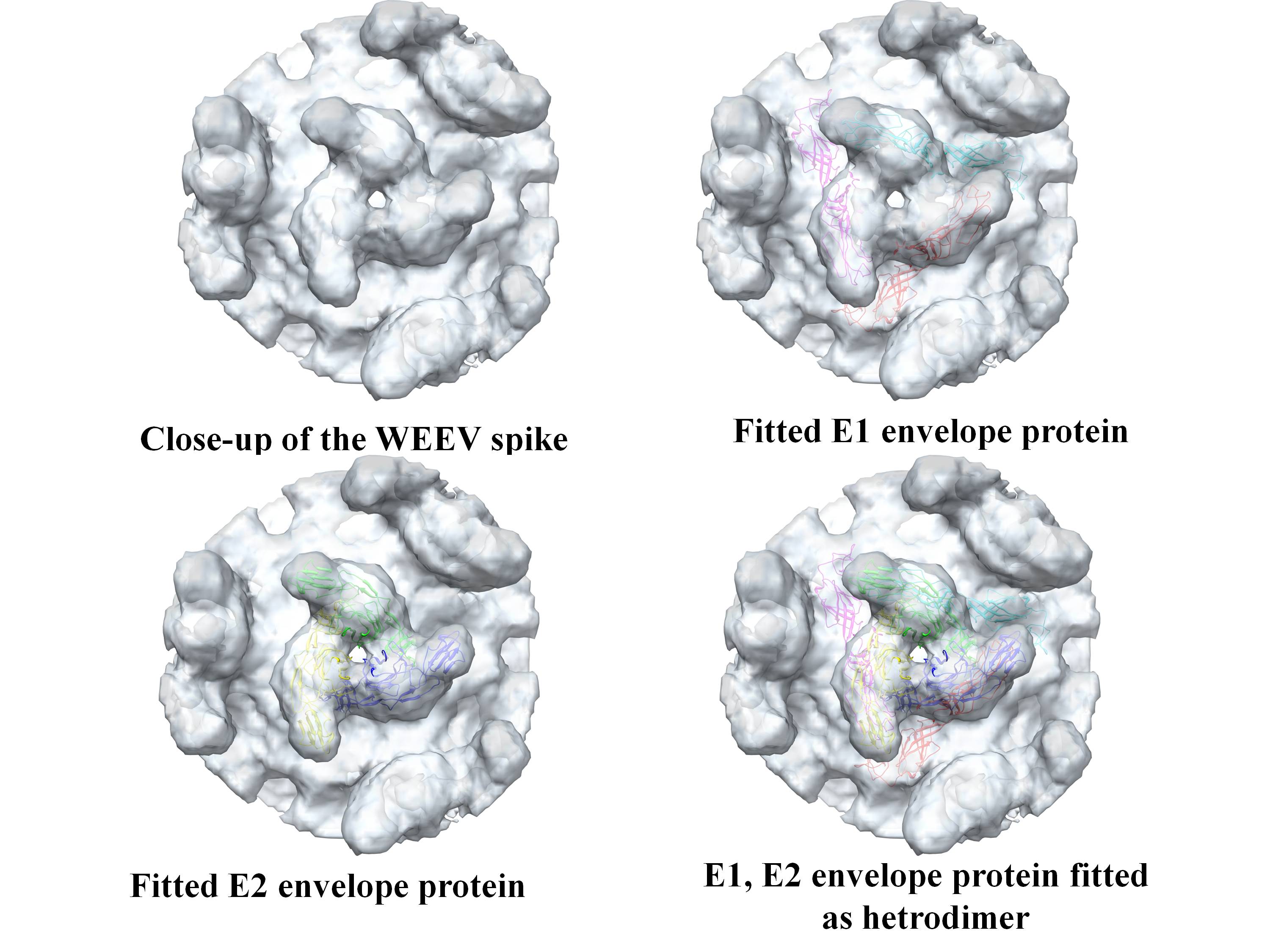 Welcome to Surendra's Research Page